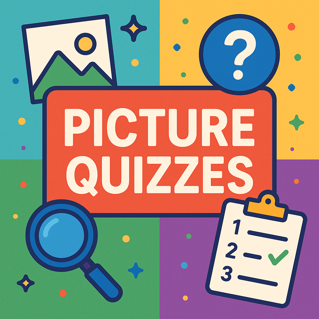 Picture Quizzes - Verso Media